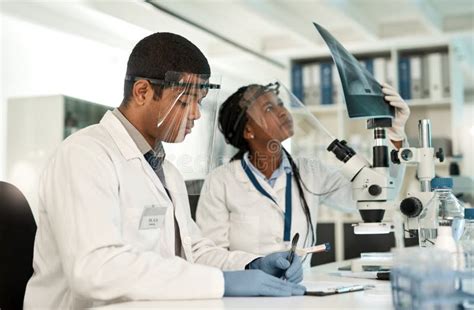 working through some case files two scientists working together in a