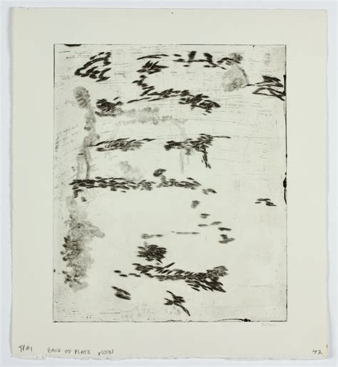 Back Of Plate Moon — Bryan Nash Gill