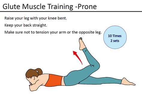 Adductor Muscle Stretch Physio Visuals Illustrated Exercise