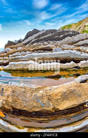 Couches Fortement Inclinées De Flysch Falaises De Flysch Côte Basque