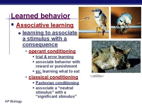 Animal Behavior Ap Biology What Is Behavior Behavior