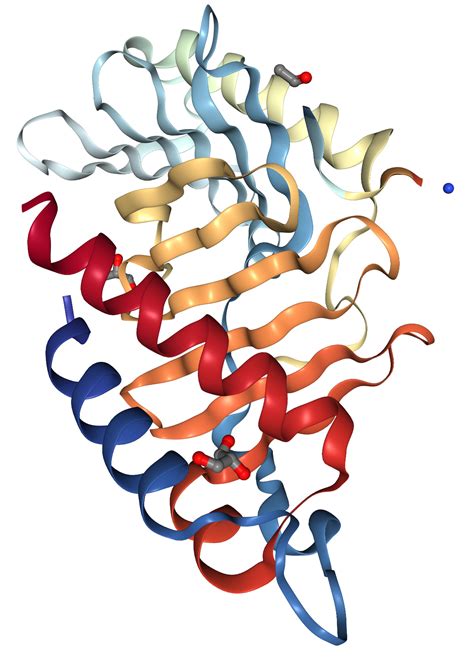 Plk1 General Information Sino Biological