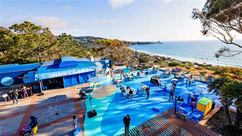Birch Aquarium Happy Hour To Take Place At This New Attraction