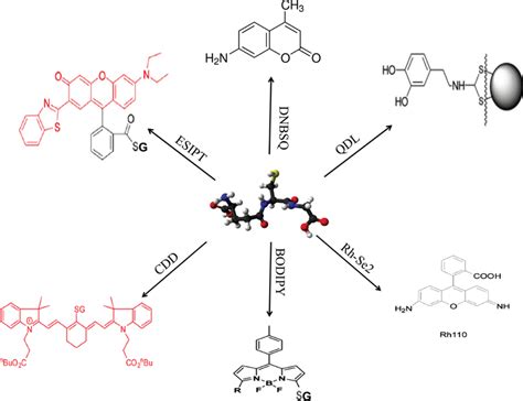 Chemical Derivatization Reactions Used For Spectroscopic Detection Of