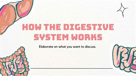 Digestive System Slides For Grade 4 Free Lesson Template — Slidescarnival