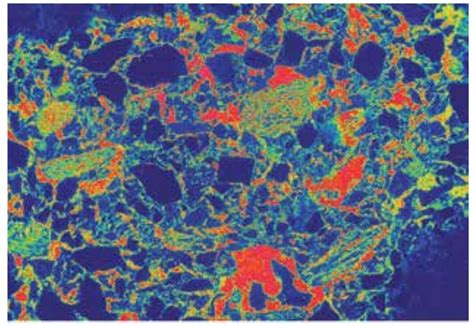 Sem Edx Elemental X Ray Map For Calcium Showing The