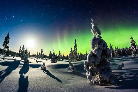 Northern Lights Forest Wallpapers Top Free Northern Lights Forest