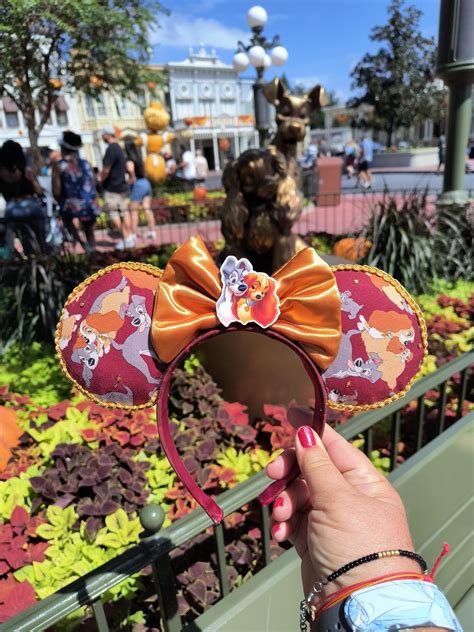 Lady And The Tramp Mickey Ears Magic Kingdom Mickey Ears Epcot Flower