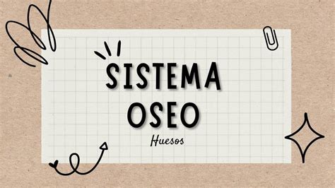 Sistema óseo Dani Udocz