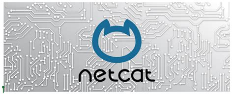 Basic Tools For Effective Devops Engineer Netcat Busyqa