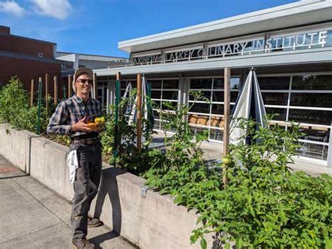 Harvest Time In Kitchen Garden At Clark Colleges Mcclaskey Culinary Institute