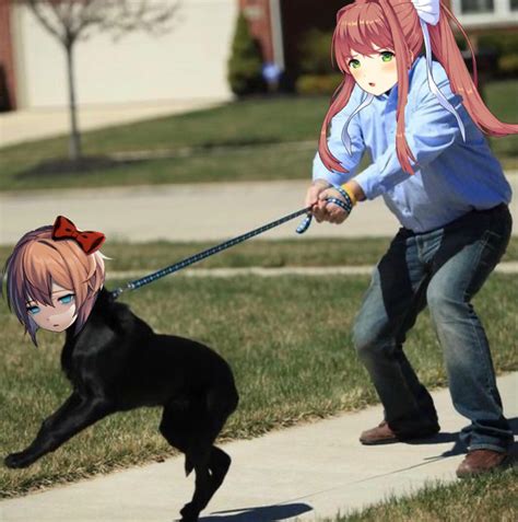 Ddlc In A Nutshell Rddlc