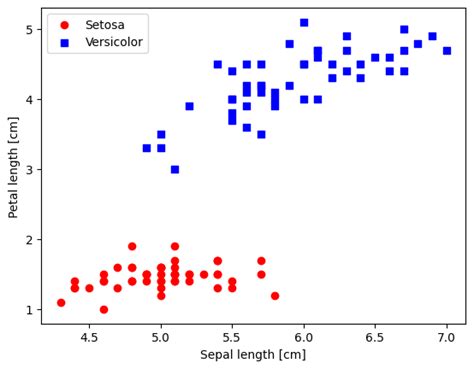 Implementation Of A Perceptron In Python — Ai4fusion Summer School 2025
