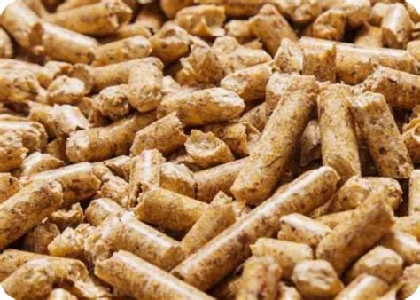 Farm To Fuel Rice Husk Pellets Will Accelerate The Global Energy