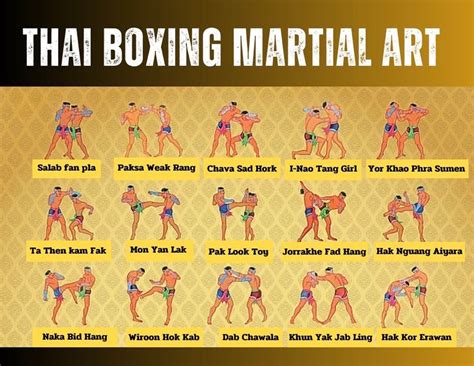 Muay Thai Techniques For Beginners Mastering Muay Thai Sparring