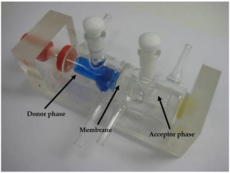 Comparison Of Modern In Vitro Permeability Methods With The Aim Of