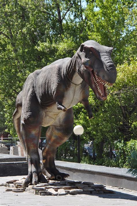 Tyrannosaurus Sculpure Moscow