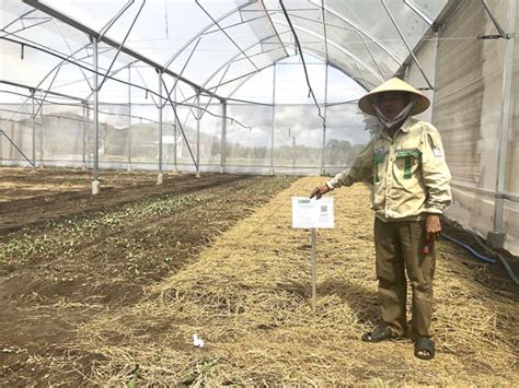 U T M Nh M Ng Tr Ng Rau S Ch B O B R A V Ng T U Online