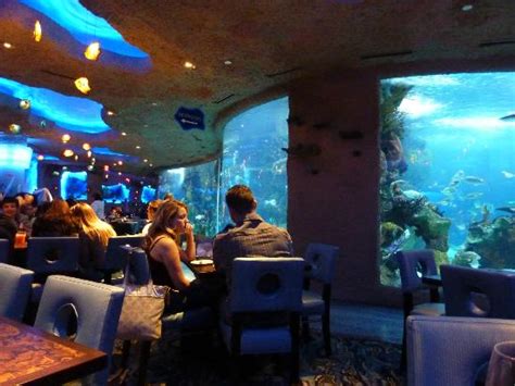 Laquarium De Nashville