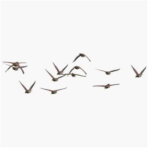 Small Flocks Of Ducks Flying 3d Model 79 Unknown Obj Max C4d Free3d