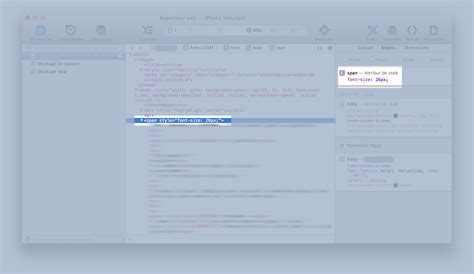 Javascript Buggy Css Behavior In A Uiwebview Font Size Is