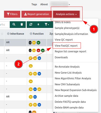 FastQC Report