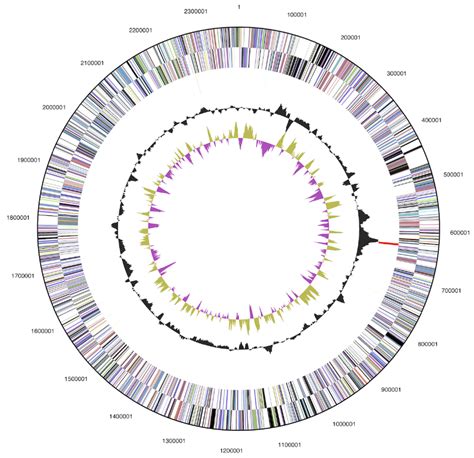 Graphical Circular Map Of The Genome From Outside To The Center Genes Download Scientific