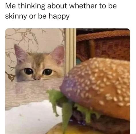 Decisions Decisions Album On Imgur