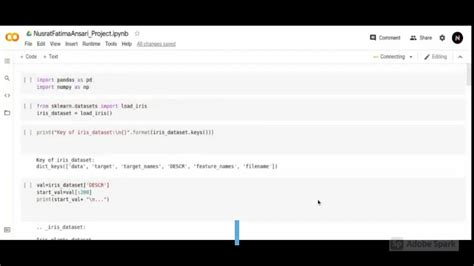 Nusrat Fatima Ansari On Linkedin Deeplearing Iris Shapeai Python Ai