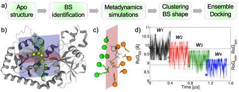 Druggable Conformations Of Proteins From Enhanced Sampling Molecular