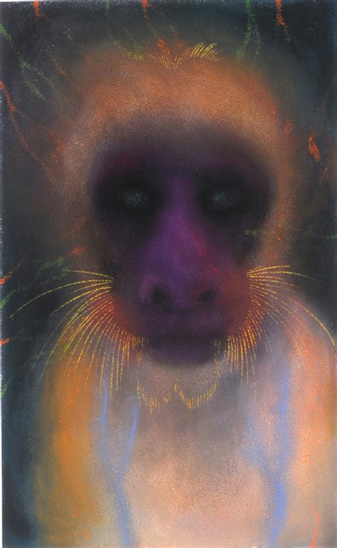 Jan Harrison The Corridor Series Primatesbirds 2009 2011