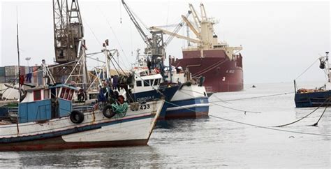 Pescadores E Industriais Exigem Medidas Severas Para Travar Pesca Ilegal