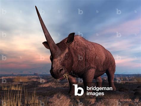 Mammal Of Russian Steppe