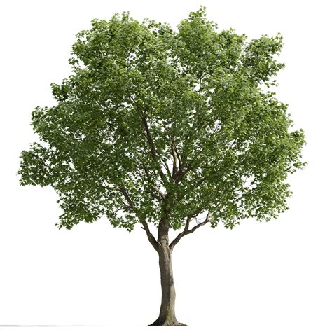 Archmodels Vol 255 Model Turbosquid 1794466