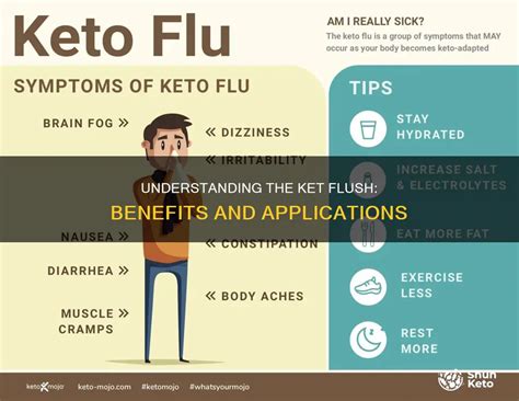 Understanding The Ket Flush Benefits And Applications Shunketo