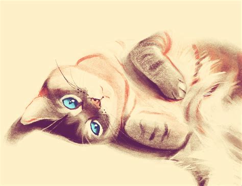 Portrait Of My Friends Fluffy Kitty Scrolller