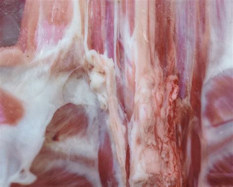 Shahryar Nashat Streams Of Spleen Innovarte