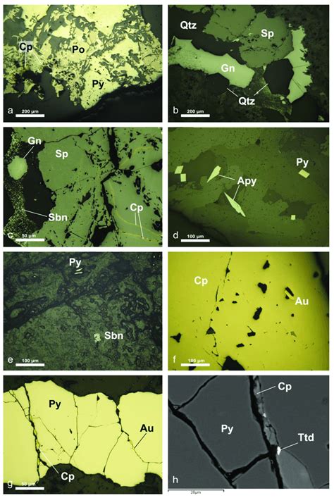 Photomicrographs Of The Hypogene Mineralization In Latite A E And Download Scientific Diagram