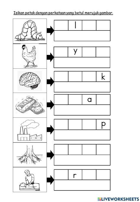 Vkvk Online Worksheet Live Worksheets