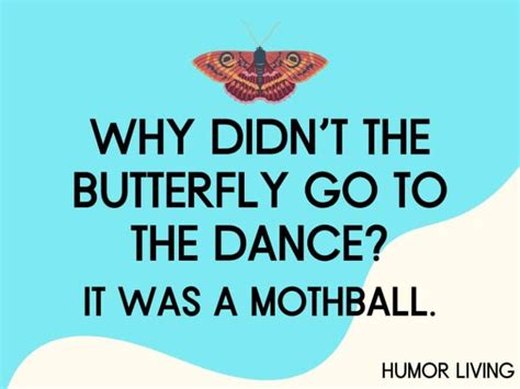 65 Funny Insect Jokes To Bug You With Laughter Humor Living