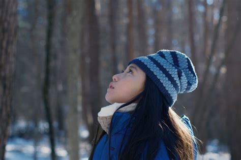 Evil Does Not Exist Tổng Hợp Những Thông Tin Mới Nhất Về Phim