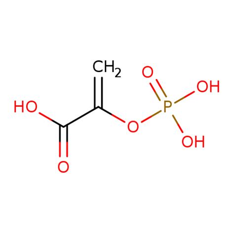Phosphoenolpyruvate Structure