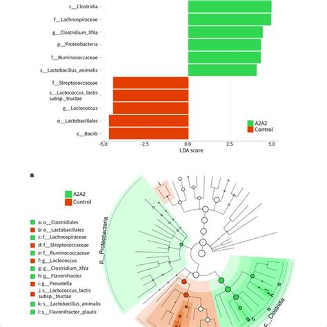 Effects Of Different Types Of β Casein Milk Administration On Serum