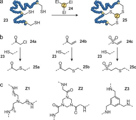 In Situ Cyclization Of Proteins Incypro A Schematic Overview Of