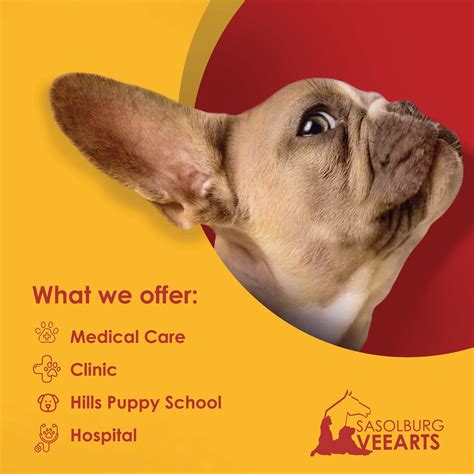 Lichtenburg Diere Welsyn Added Lichtenburg Diere Welsyn