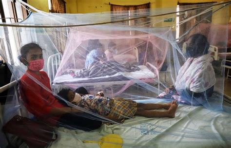 Sharp Spike In Fever Cases India News