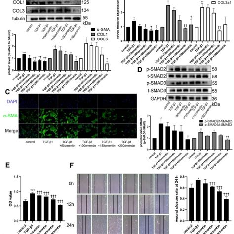 A Schematic Design Of The Microfluidic Device For Spheroid Formation Download Scientific