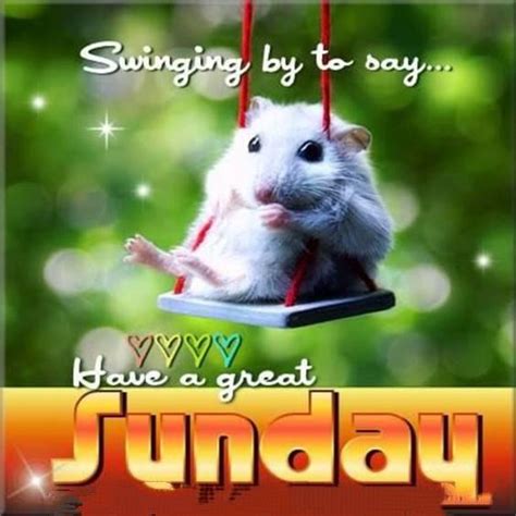 105 Funny Sunday Memes With Beautiful Hilarious Images Boomsumo