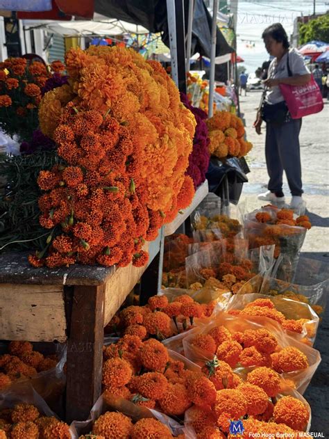 CempasÚchil Veladoras Cruces Pan Calabazas Llenan Calle CÉntrica