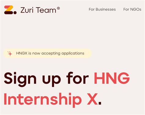 Zuri Team Is Now Accepting Applications For The Hng Internship X